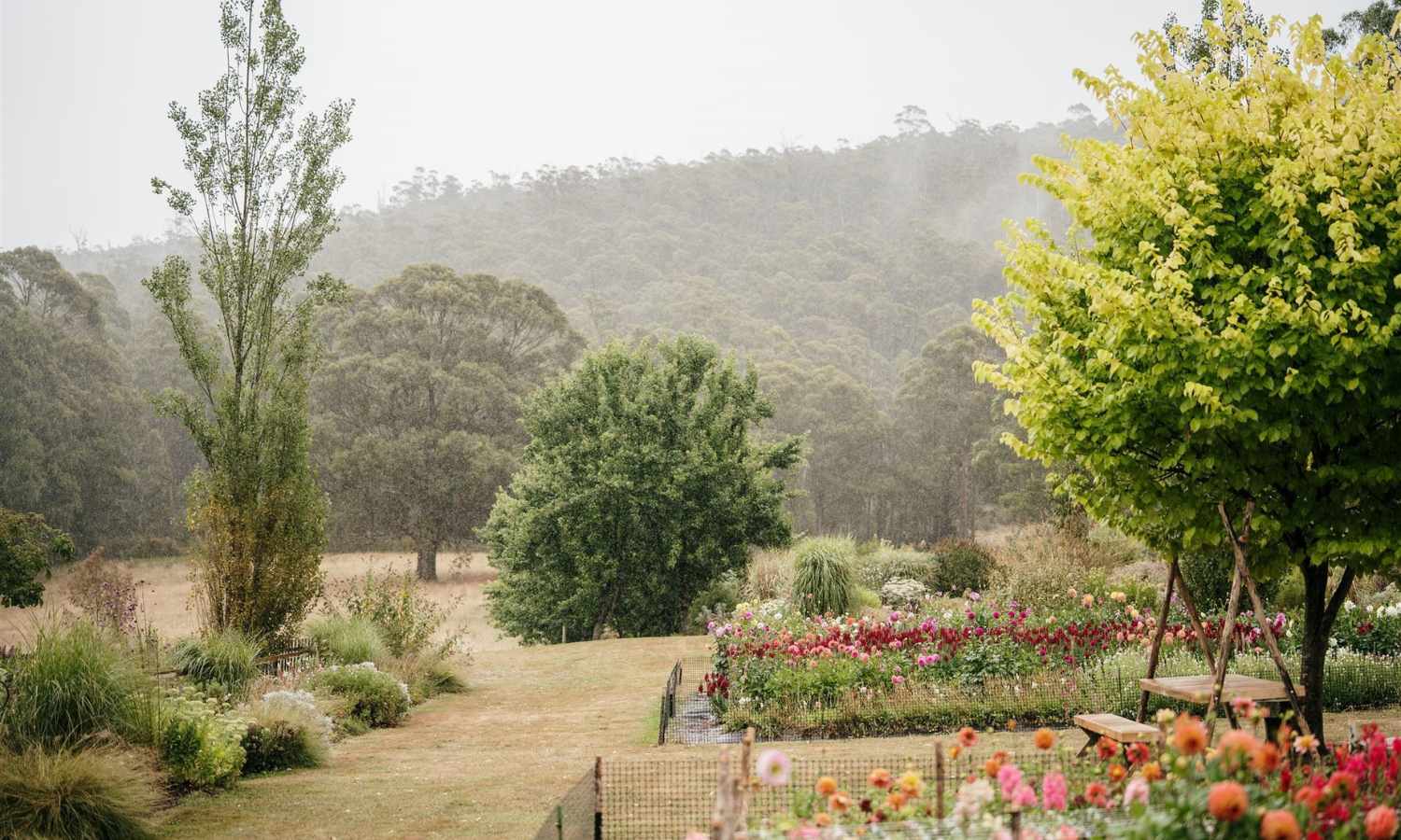 Small Flower Farm Australia | Best Flower Site