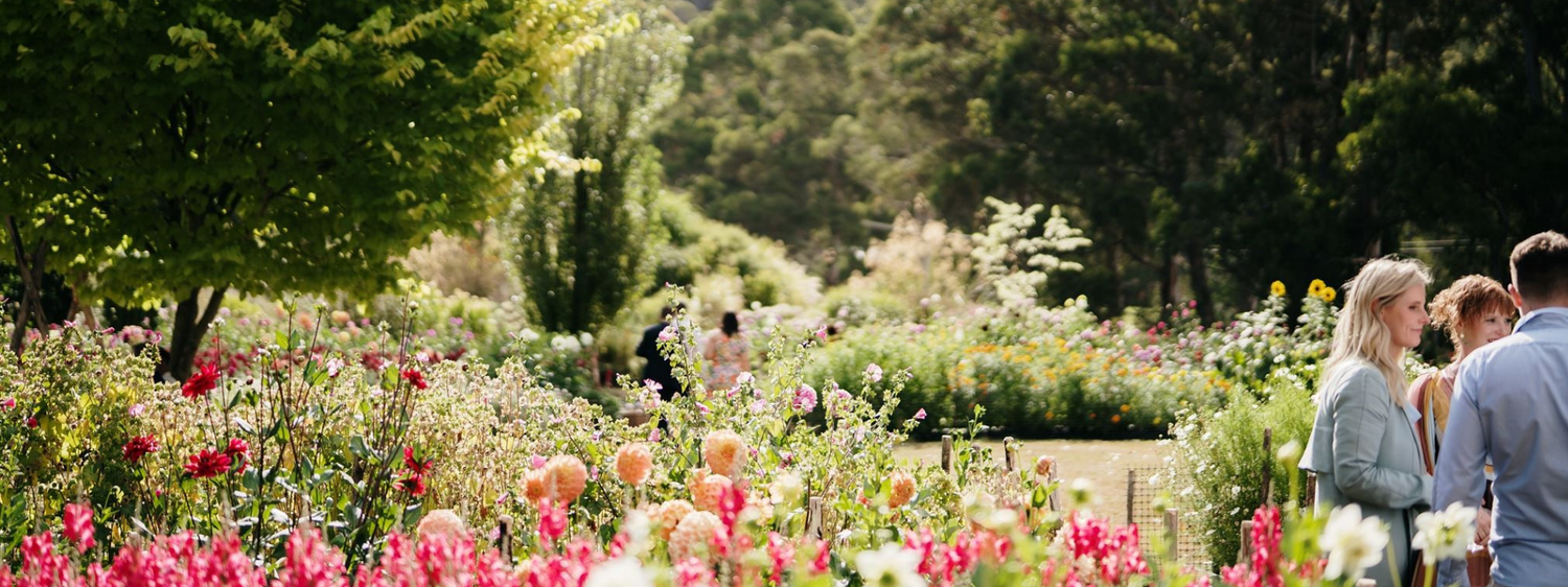 Home | Earthenry